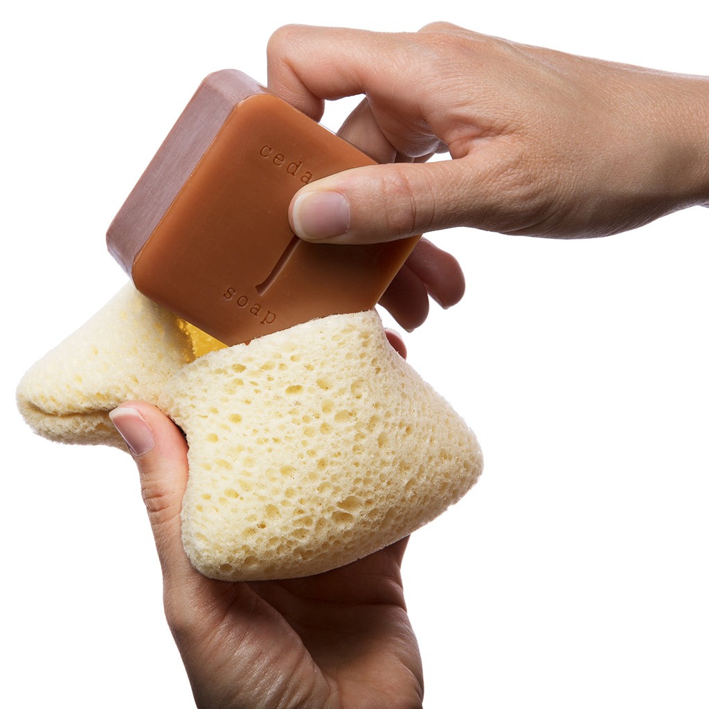 EXFOLIATING BODY SHOWER SPONGE WITH SOAP POCKET - TIVIT